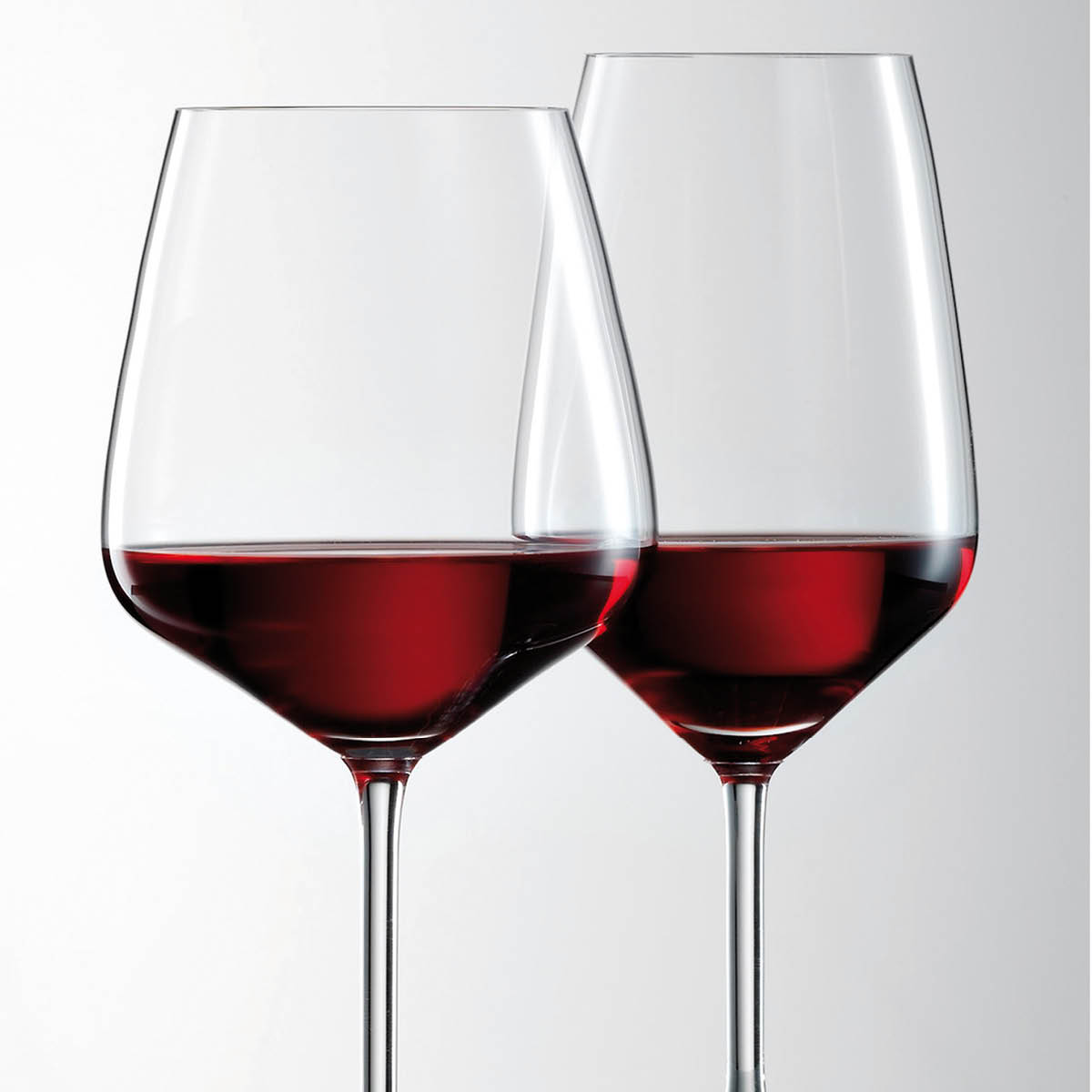 Schott Zwiesel Taste - Trenton International